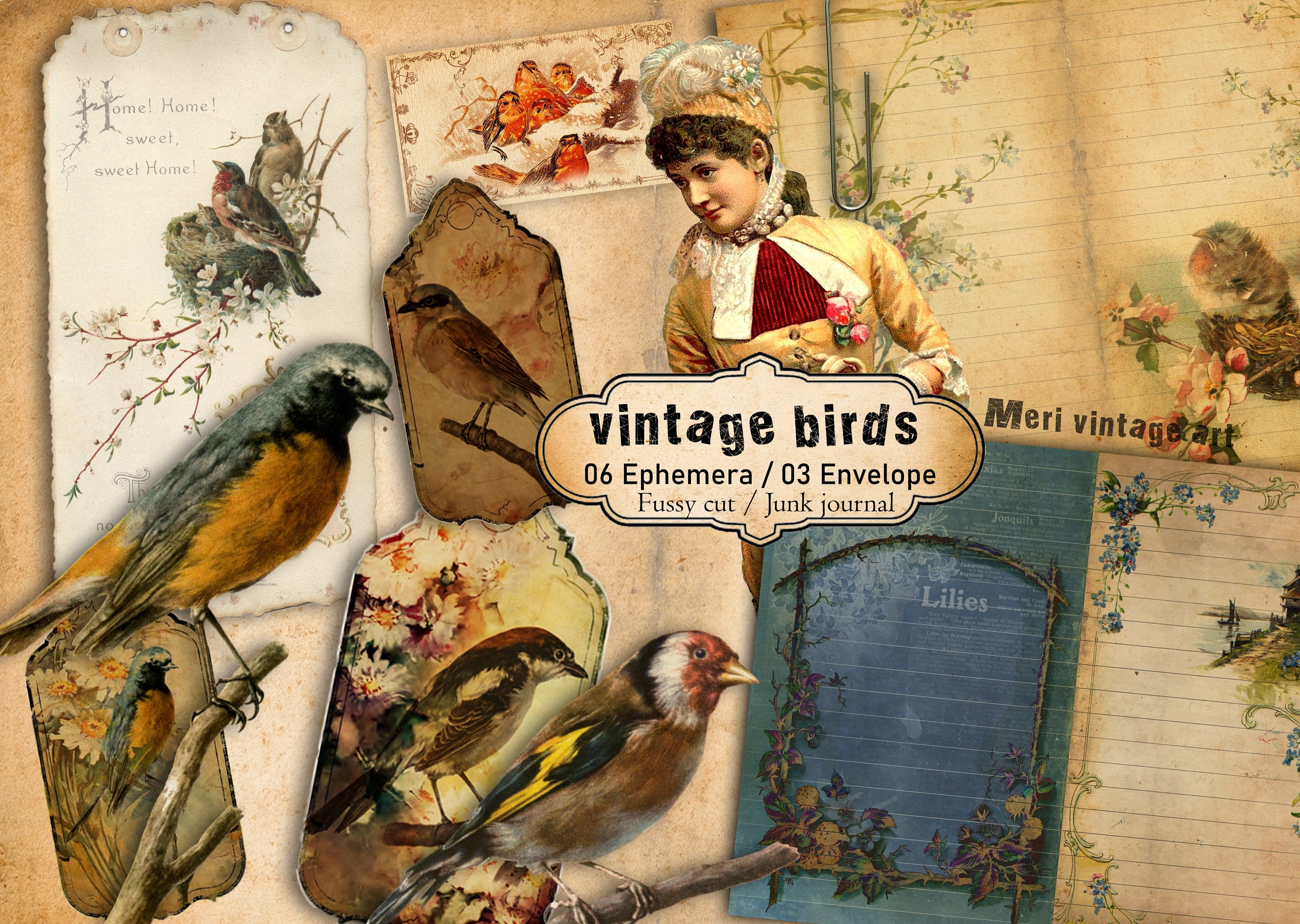 Printable VINTAGE BIRDS Ephemera Pack,fussy Cuts,junk Journal ...