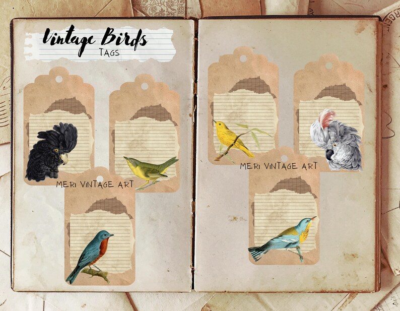 Bird Fussy Cutdigital Fussy Cut Birds Scrapbooking Junk - Etsy