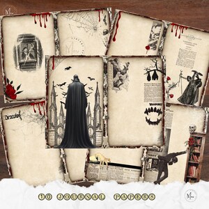 Dracula's Haunted Pages, Grunge Mystery Junk Journal Kit, Vampire ...