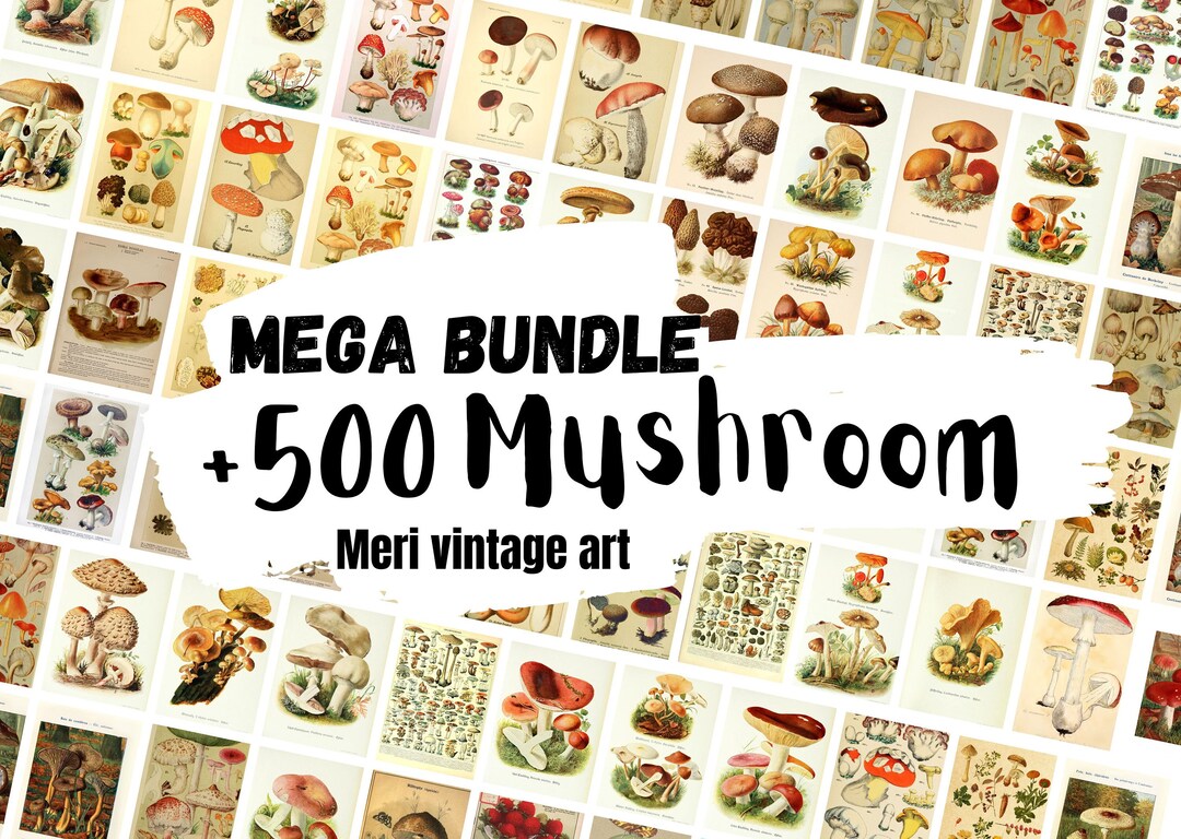 Vintage Mushrooms Bundle,+500 Posters and Illustrations,fungi ...