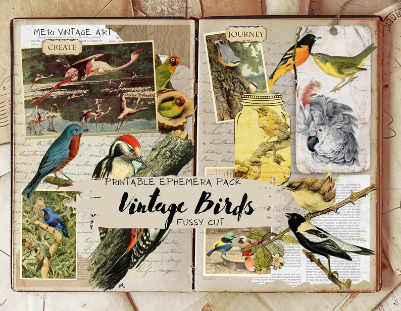 Bird Fussy Cutdigital Fussy Cut Birds Scrapbooking Junk - Etsy