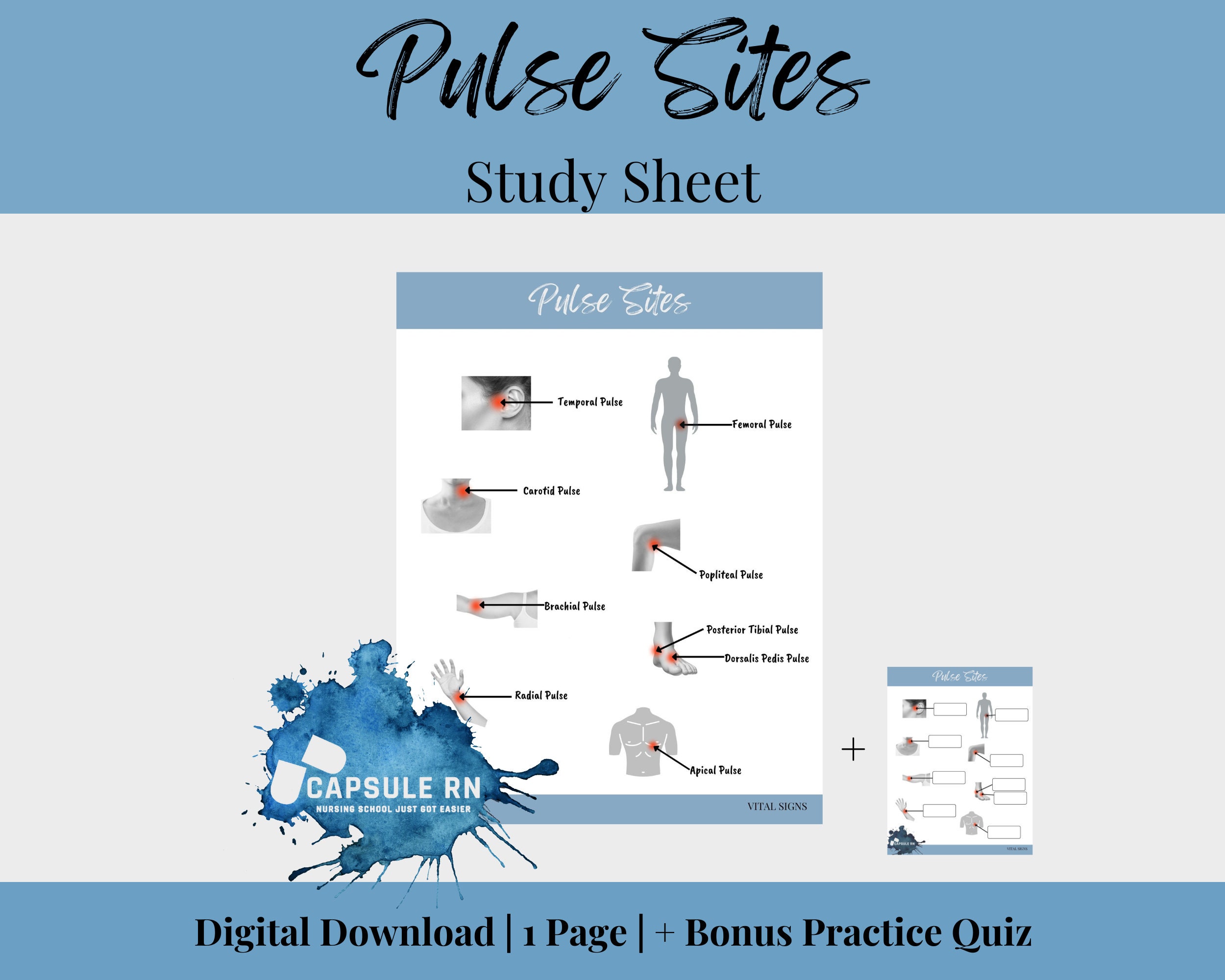 Carotid Pulse Clipart