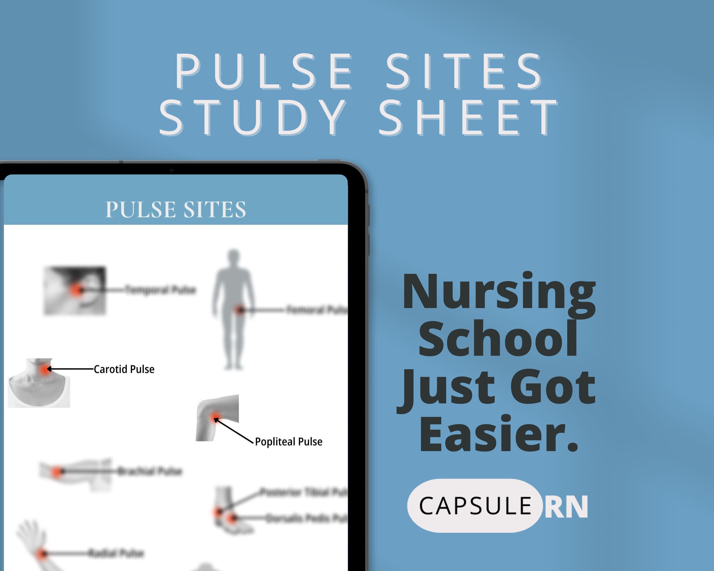 Carotid Pulse Clipart