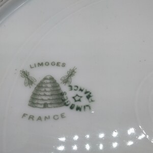 Vintage Limoges France Floral Dinner Plate - Etsy