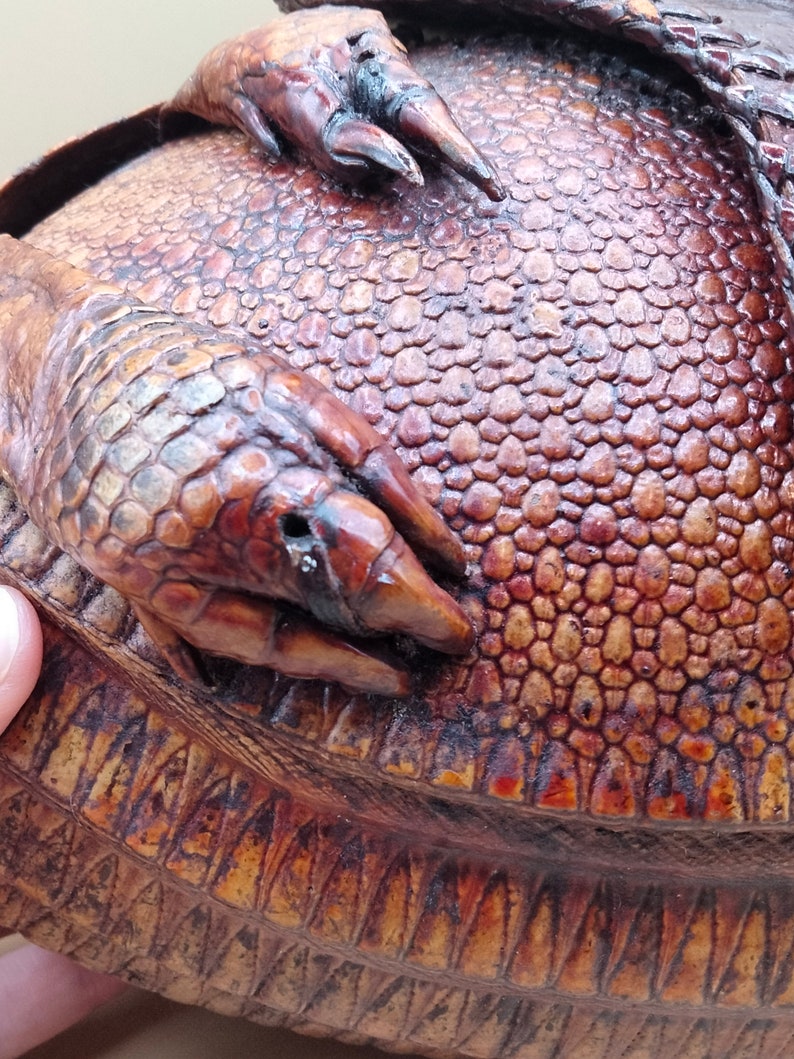 Vintage Armadillo Purse Taxidermy - Etsy