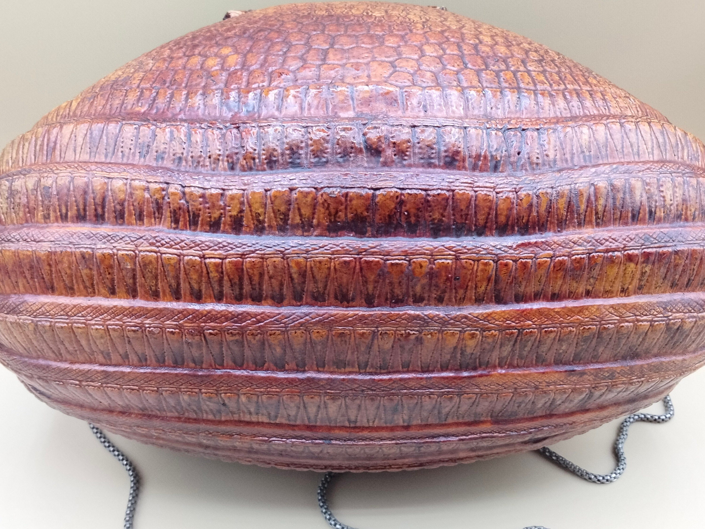 Vintage Armadillo Purse Taxidermy - Etsy