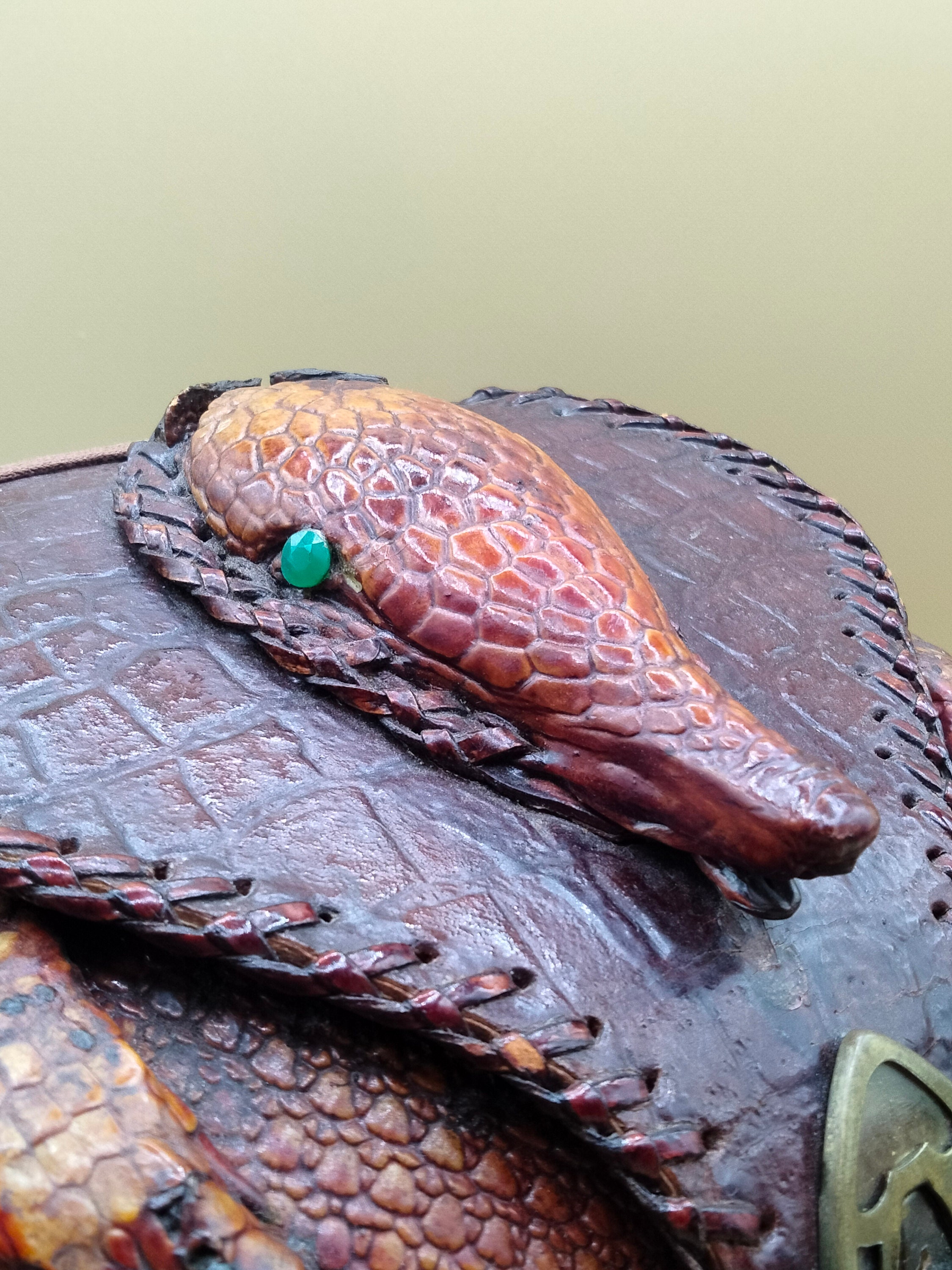 Vintage Armadillo Purse Taxidermy - Etsy