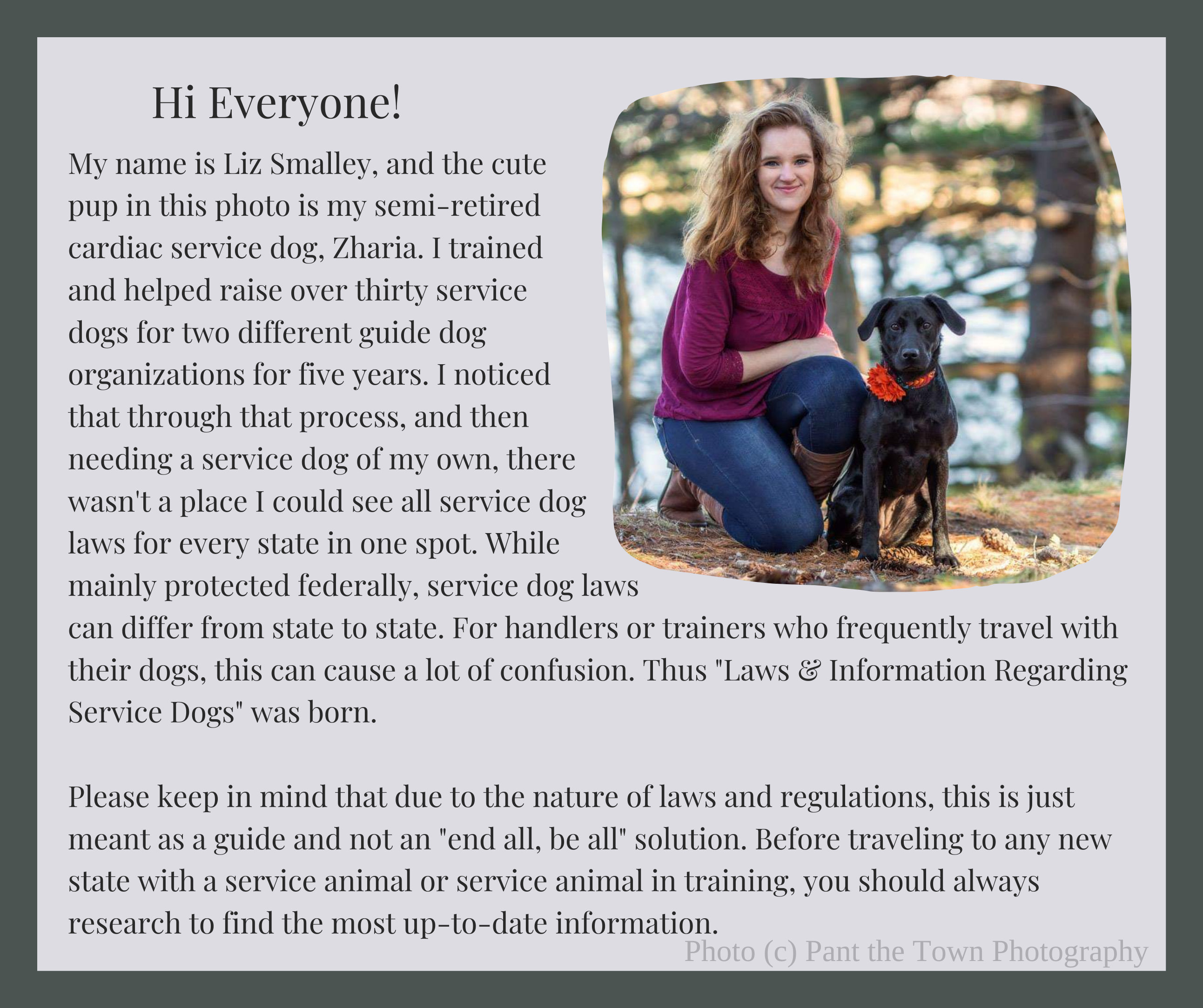 Service Dog Laws & Regulations by State (PDF Download) - Etsy