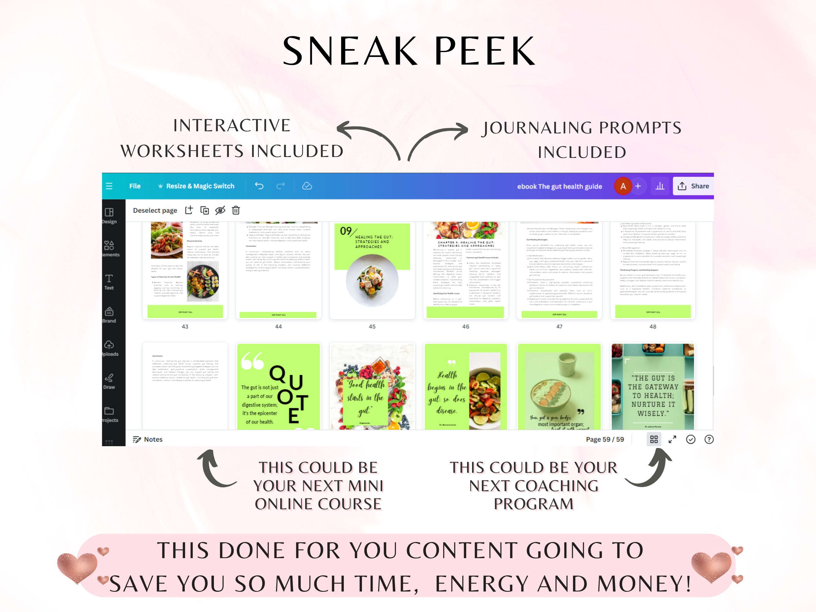 PLR Health Coaching Program Template Ll the Gut Health Guide Ll ...