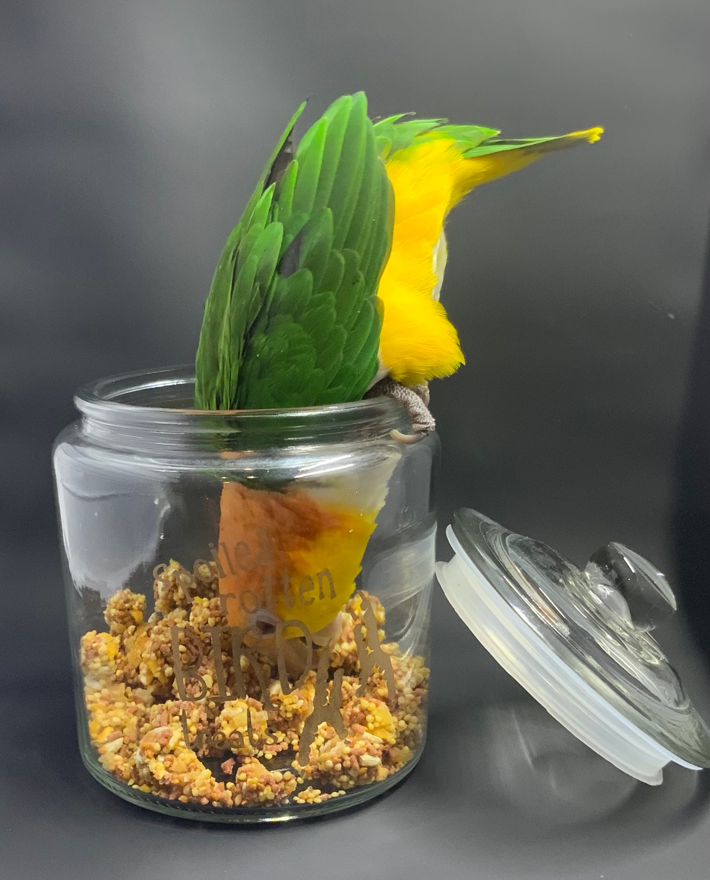 Spoiled Bird Glass Treat Jar - Etsy