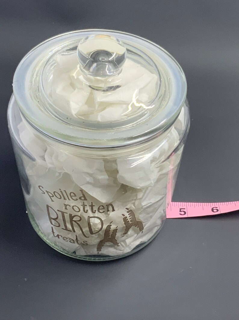 Spoiled Bird Glass Treat Jar - Etsy