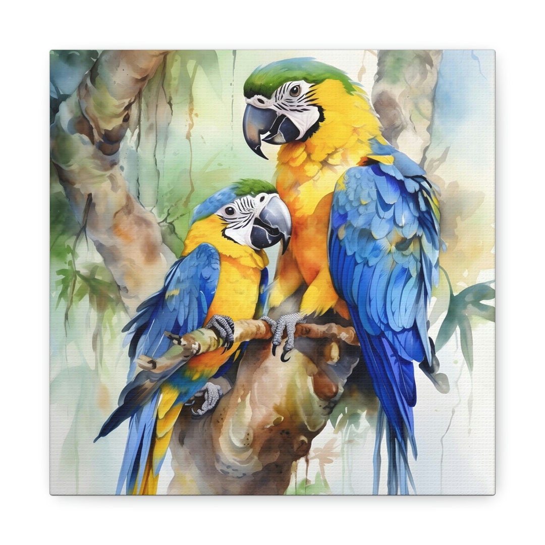 Mom and Baby Blue and Gold Macaw Canvas Gallery Wraps - Etsy