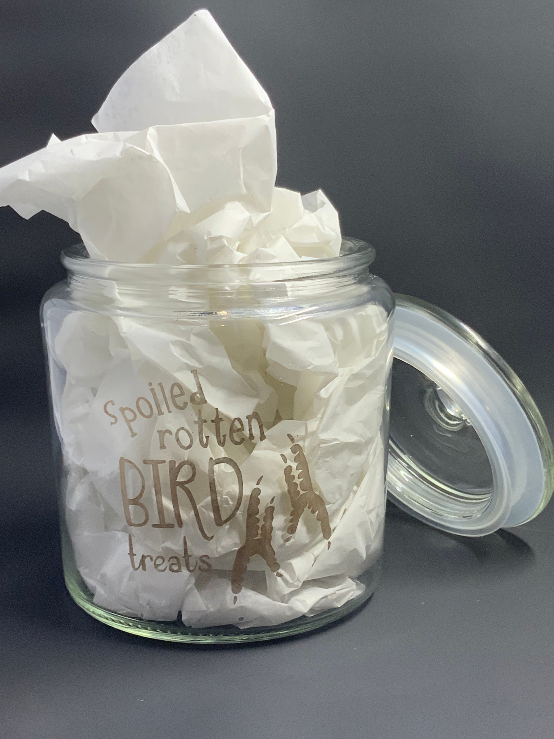 Spoiled Bird Glass Treat Jar - Etsy