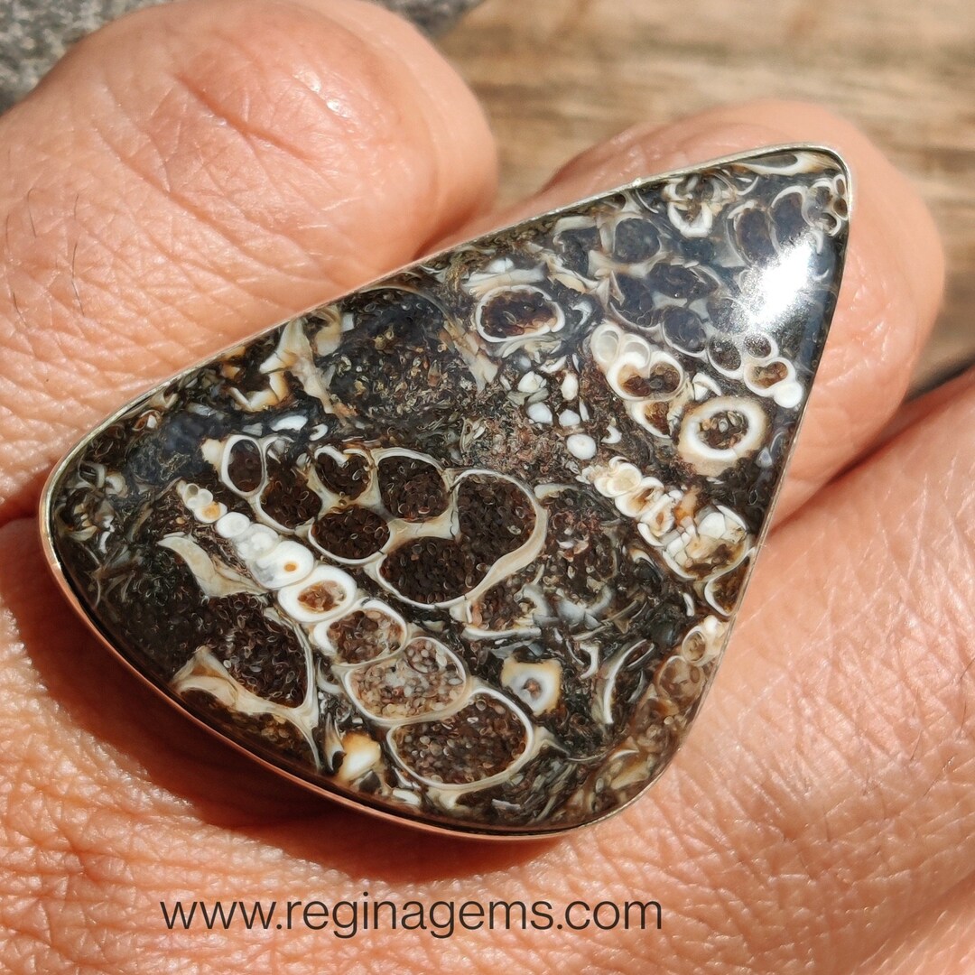 Turritella Fossil Ring- Genuine Fossil- Unique Jewelry- Ammonite Ring ...