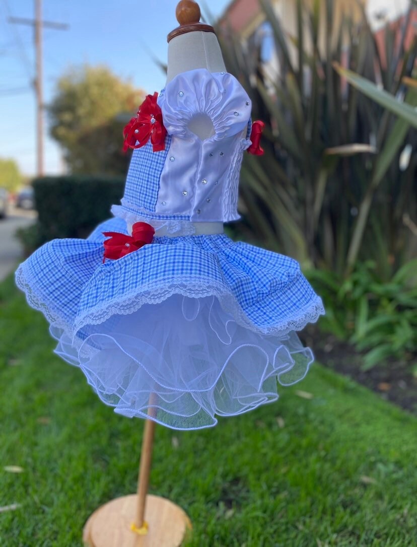 Dorothy Pageant Dress Tutu Dress Tutu Costume Wizard of OZ - Etsy