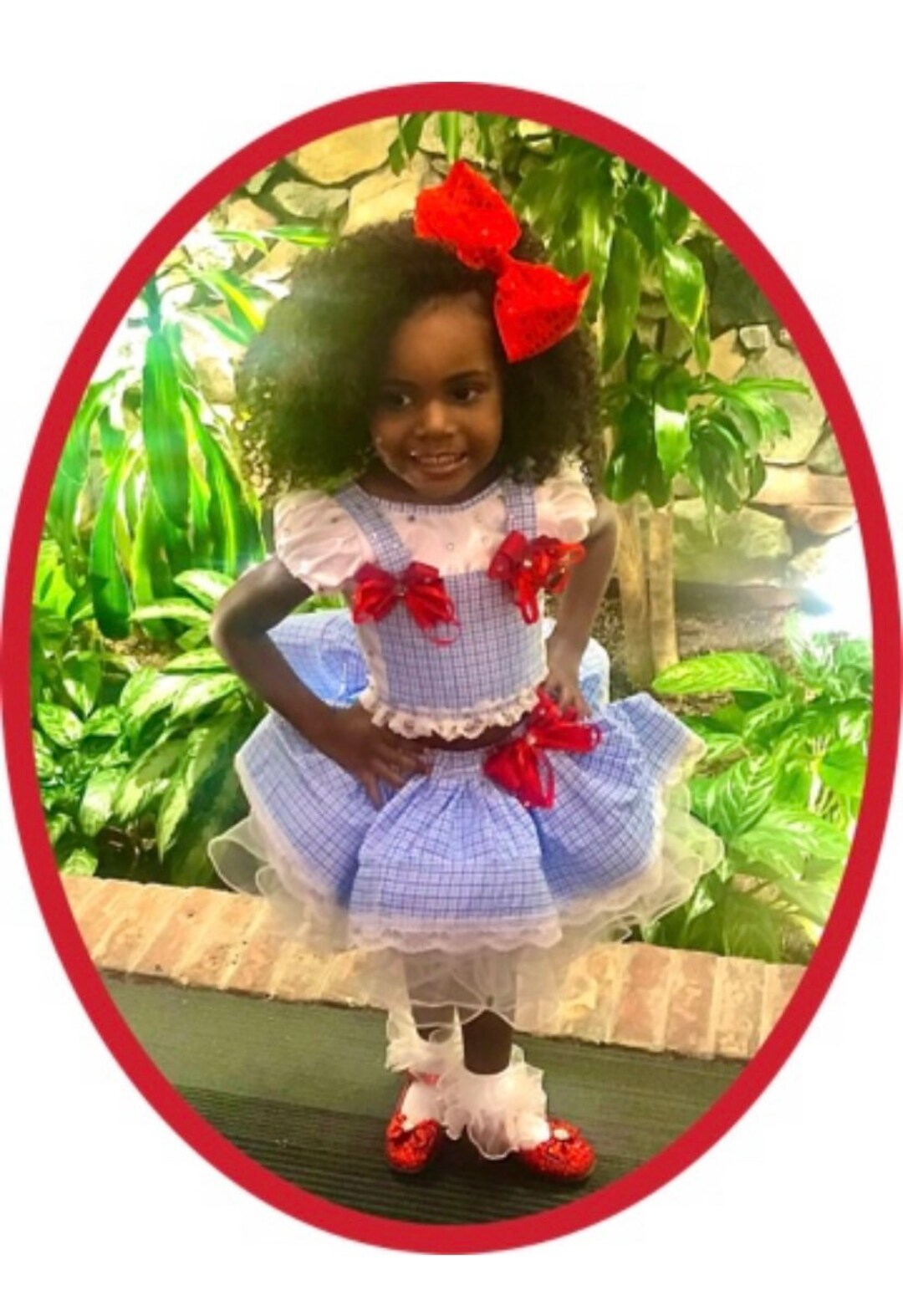 Dorothy Pageant Dress Tutu Dress Tutu Costume Wizard of OZ - Etsy