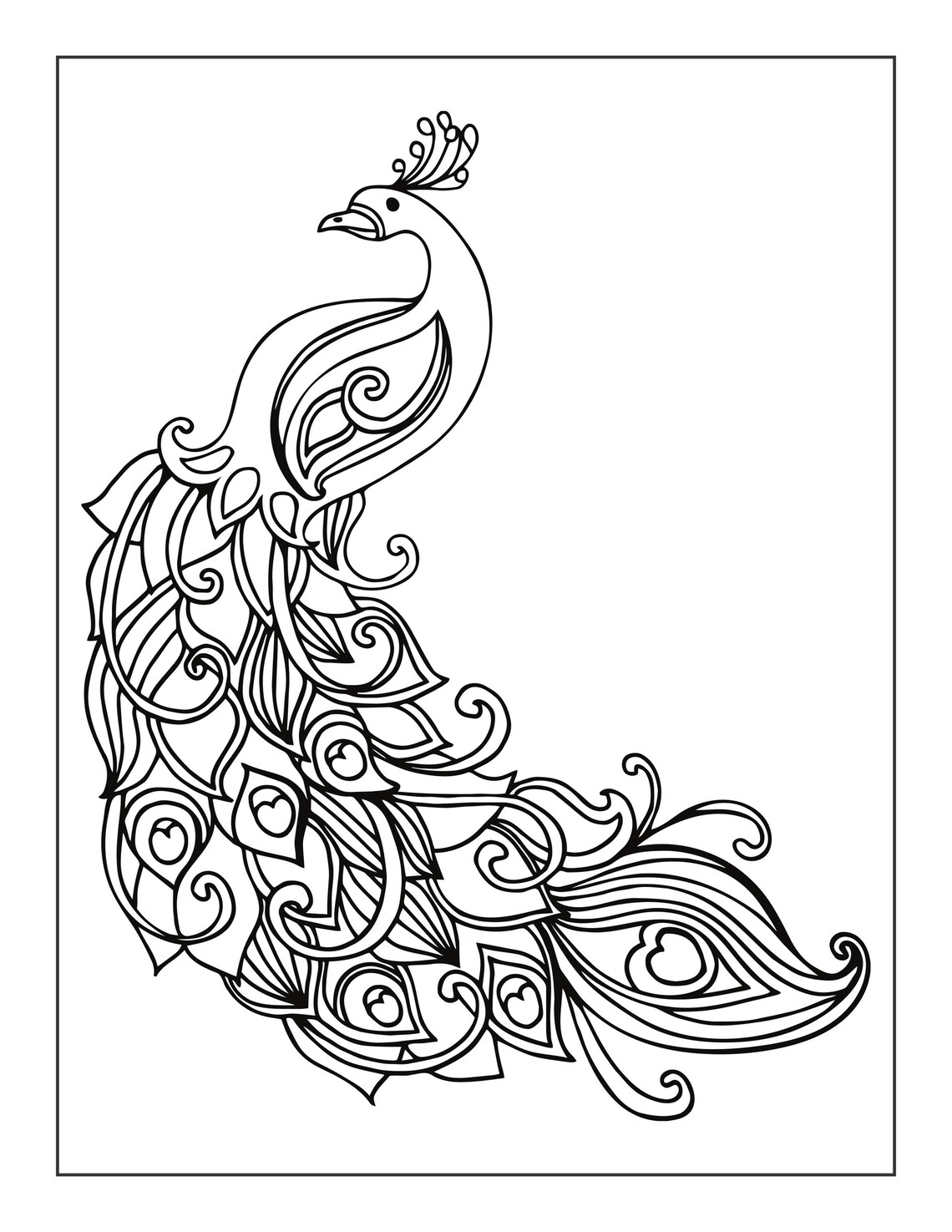 20 Peacock Animal Kids Coloring Pages Sheets PRINTABLE Book - Etsy