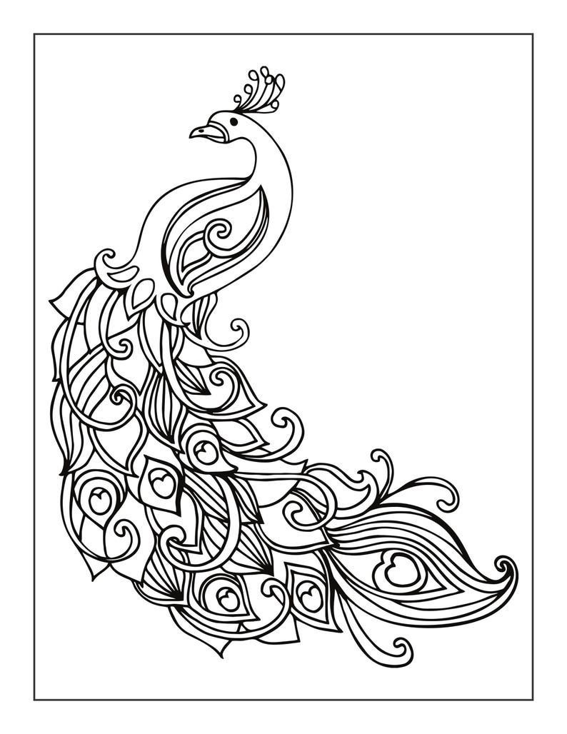 20 Peacock Animal Kids Coloring Pages Sheets PRINTABLE Book - Etsy