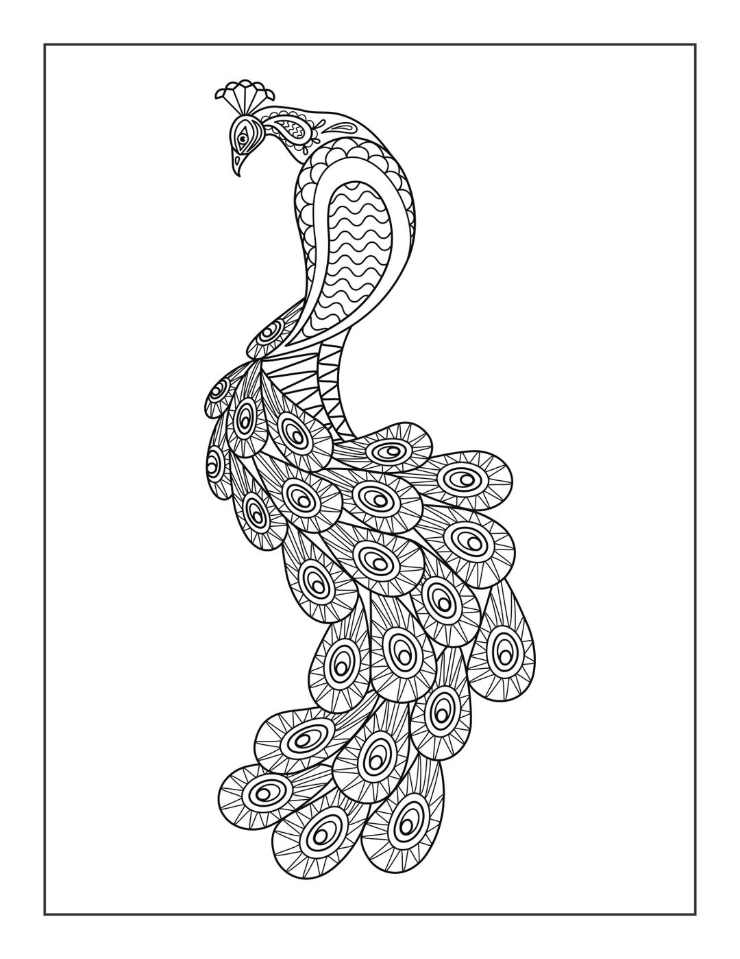 20 Peacock Animal Kids Coloring Pages Sheets PRINTABLE Book - Etsy