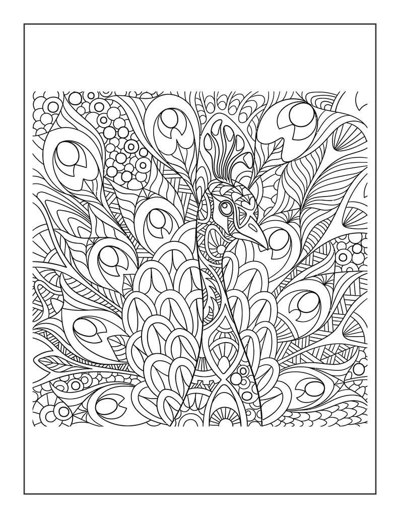 20 Peacock Animal Kids Coloring Pages Sheets PRINTABLE Book - Etsy