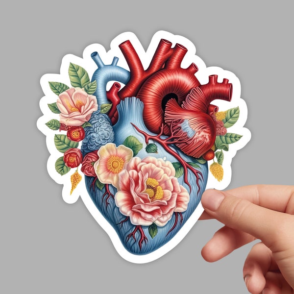 Anatomical Heart Car Sticker - Etsy