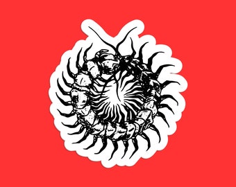 Centipede Eyeball Sticker - Etsy