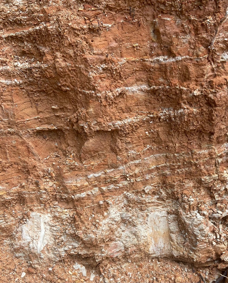 Edible Sour Clay - Etsy