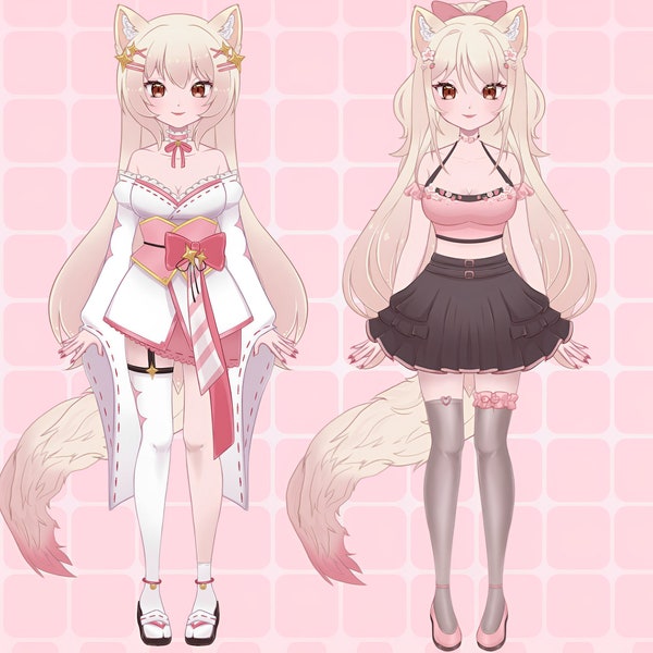 2d Vtuber Full Body Model - Etsy