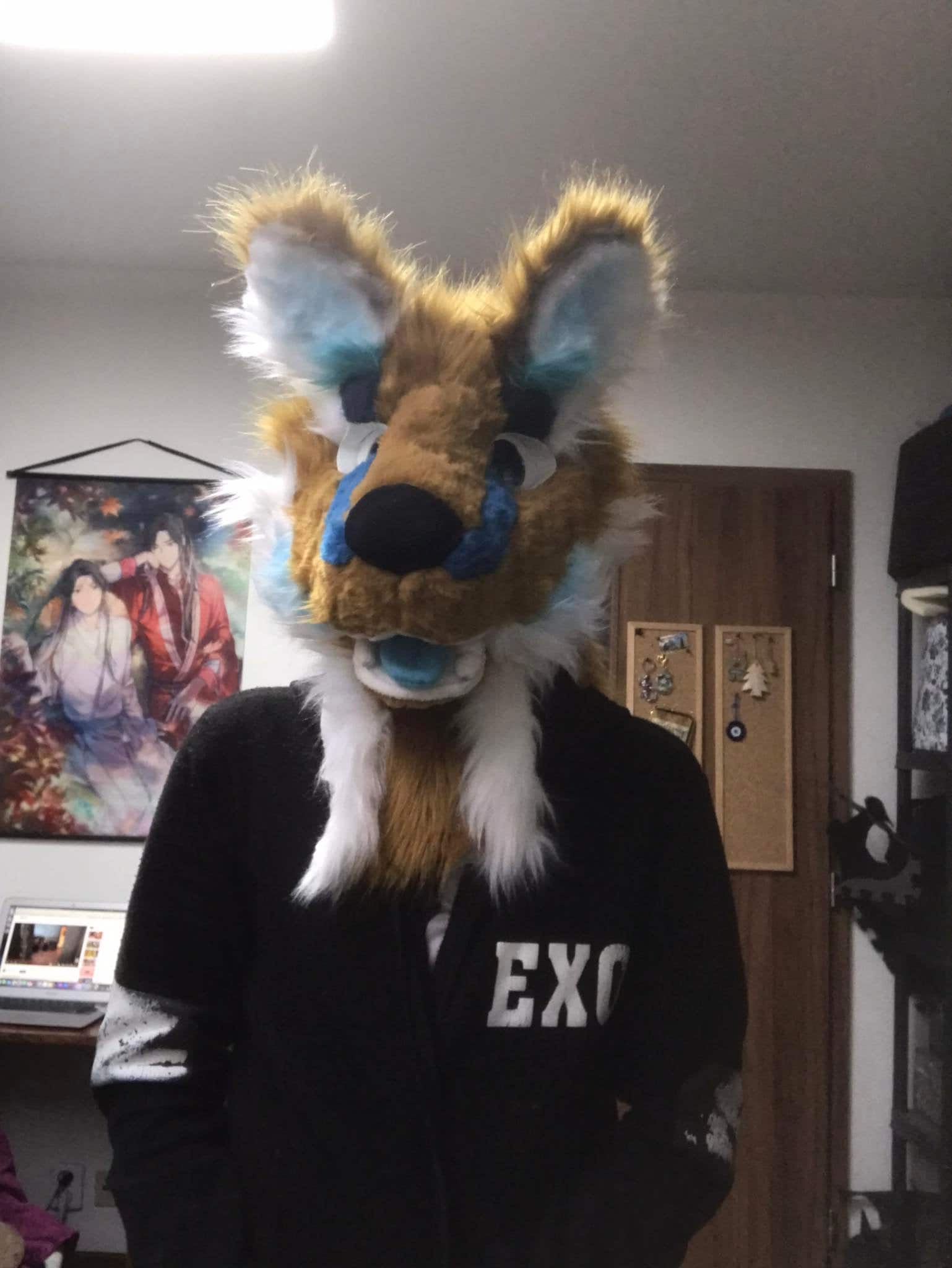 Blue Bear| Kangaroo |hybrid / PREMADE Fursuit Head - Etsy