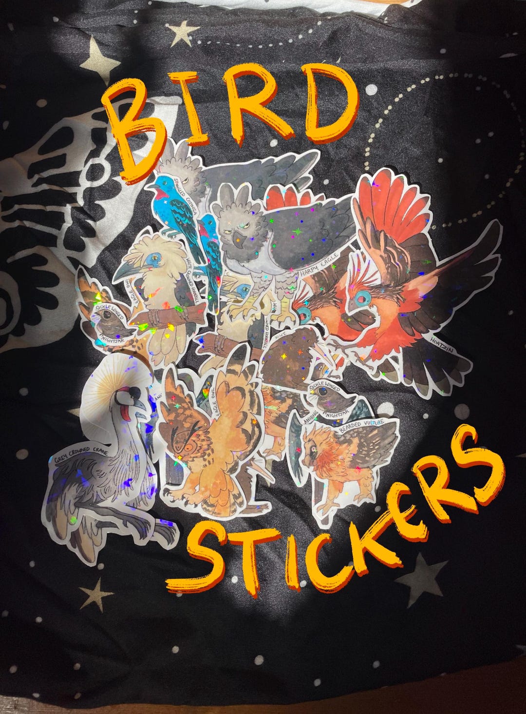 INTERNATIONAL BIRDS Stickers - Etsy