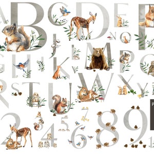 Woodland ABC & Numbers Poster, Woodland Alphabet Wall Art, Watercolor ...