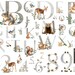 Woodland ABC & Numbers Poster, Woodland Alphabet Wall Art, Watercolor ...