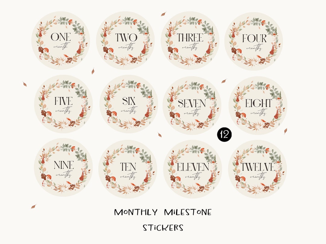 Floral Baby Monthly Milestone Stickers: Fall Artwork (PNG) - Etsy
