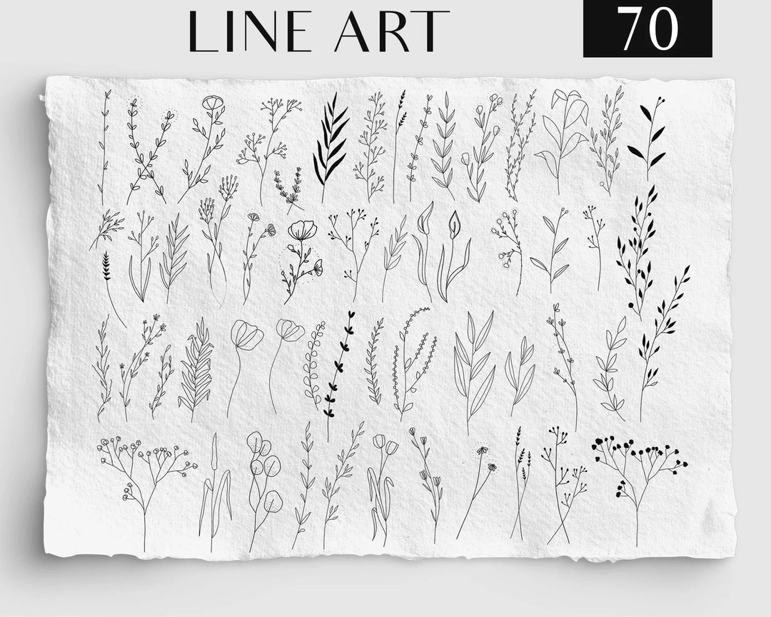 Botanical Line Art Clipart, Line Flower Clipart, Leaf Poster, Modern ...