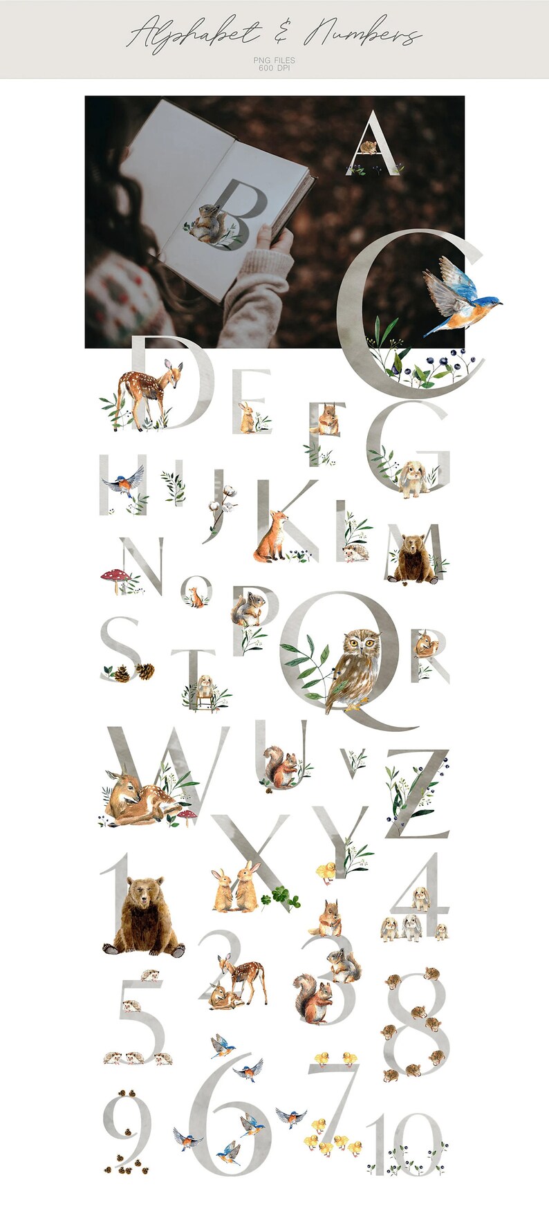 Woodland ABC & Numbers Poster Woodland Alphabet Wall Art - Etsy