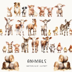 Watercolor Farm Babies Clipart, Cute Animals for Commercial Use ...