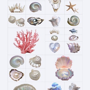 Mermaidcore Collage. Sea PNG Objects. - Etsy