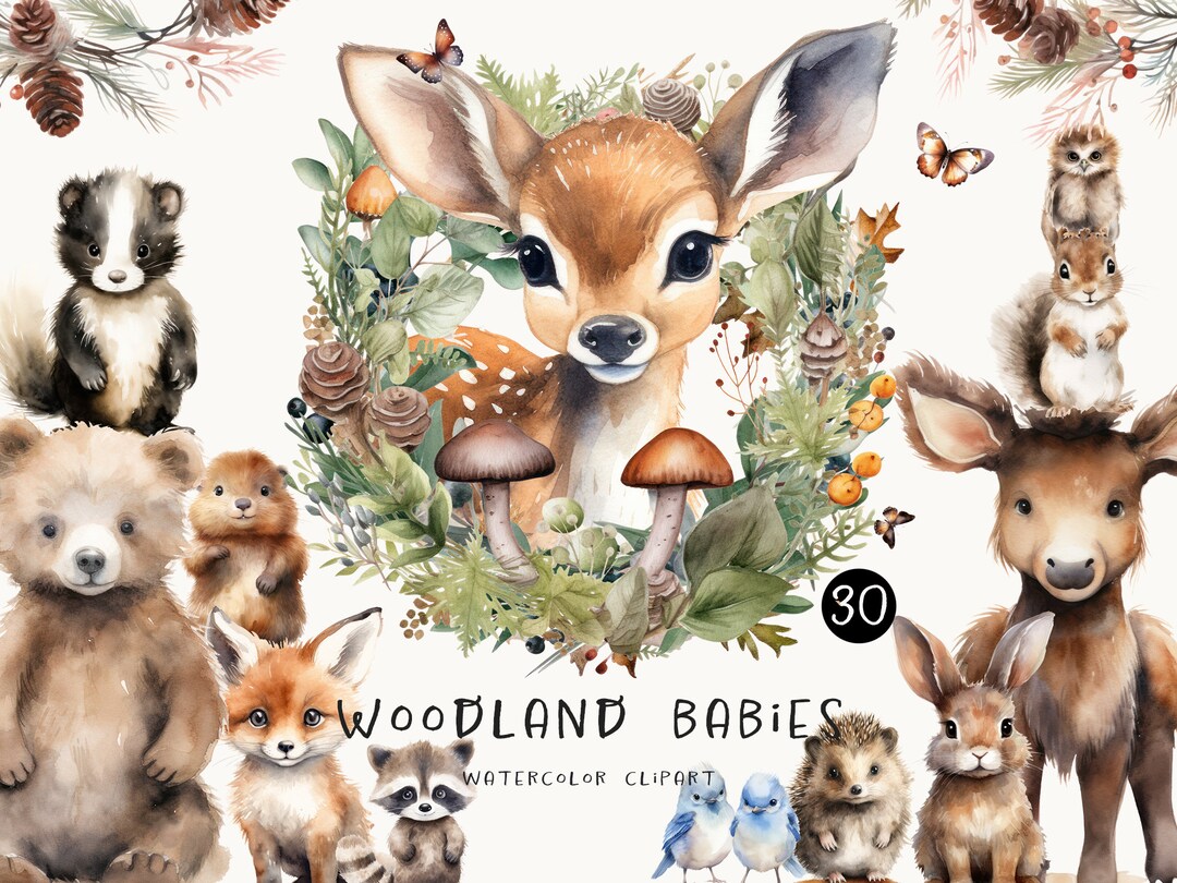 Woodland Animals Watercolor, Clipart for Commercial Use, Animal Babis ...