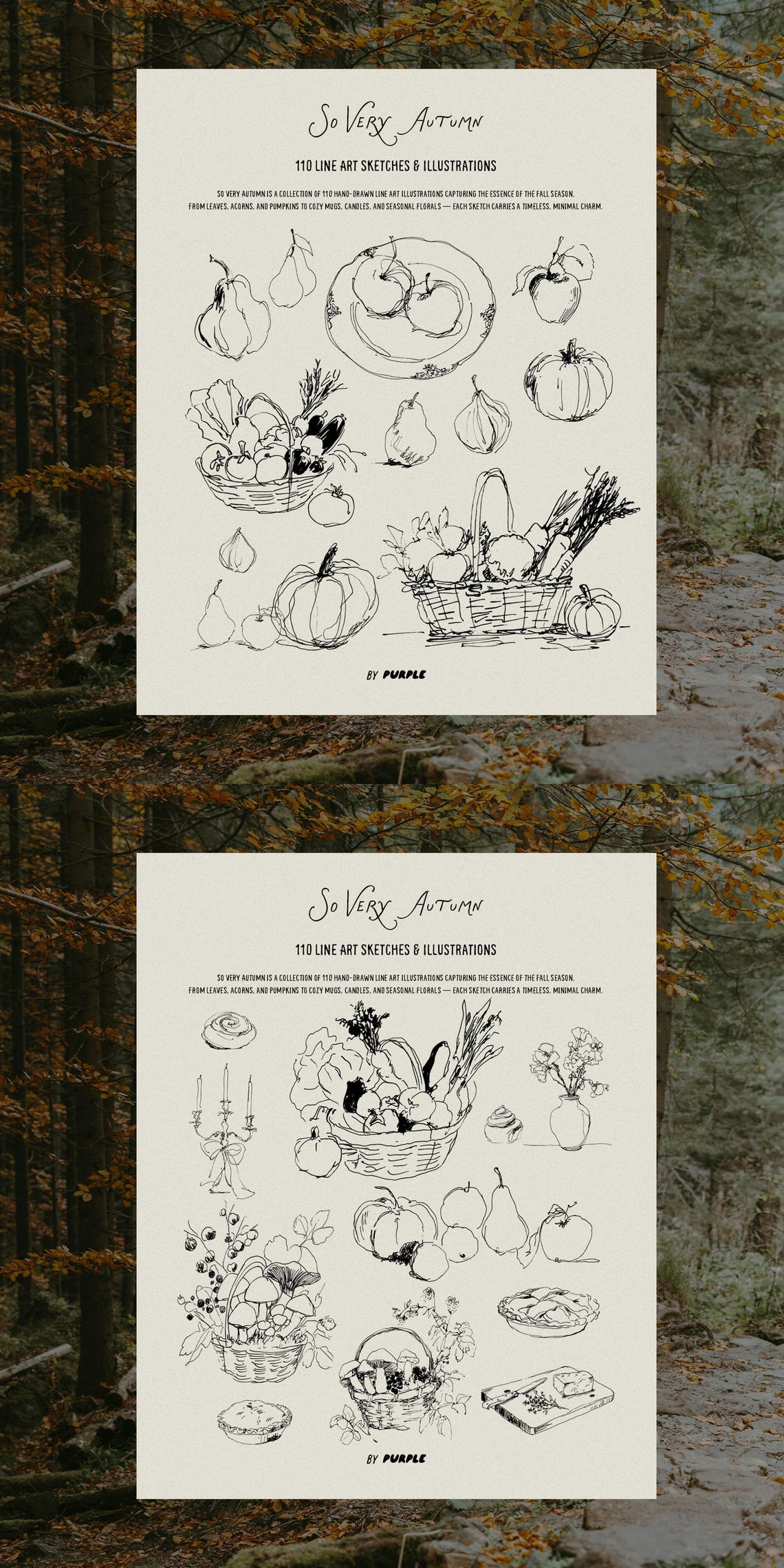 Fall Line Art Sketches: Pumpkin Harvest Clipart (digital Download) - Etsy