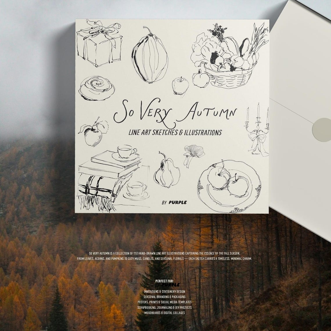 Fall Line Art Sketches: Pumpkin Harvest Clipart (digital Download) - Etsy