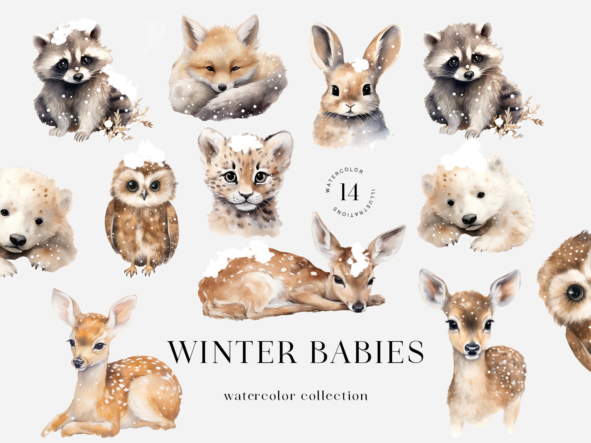 Winter Babies Watercolor Clipart. Winter Watercolor Animals - Etsy
