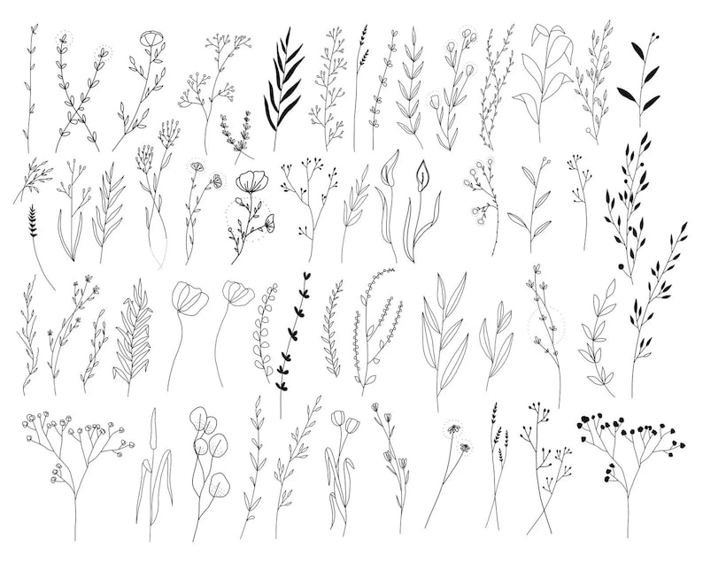 Botanical Line Art Clipart, Line Flower Clipart, Leaf Poster, Modern ...