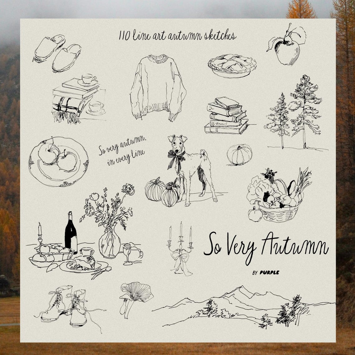 Fall Line Art Sketches: Pumpkin Harvest Clipart (digital Download) - Etsy