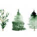 Watercolor Pine Trees Clipart. Christmas. Winter Clipart. 13 Watercolor ...