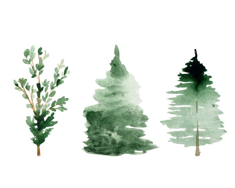Watercolor Pine Tree Clipart: Winter Forest Pngs (digital Download) - Etsy