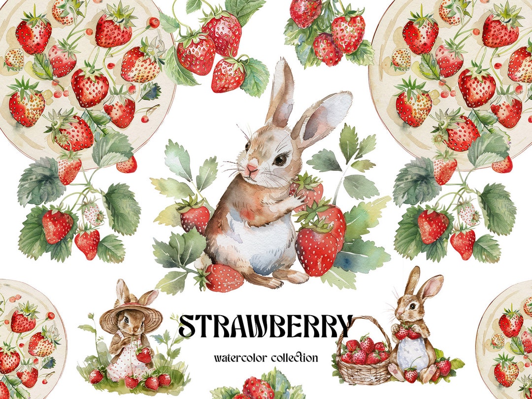 Bunny and Strawberries Clipart Set: Watercolor Rabbit PNG (digital File ...