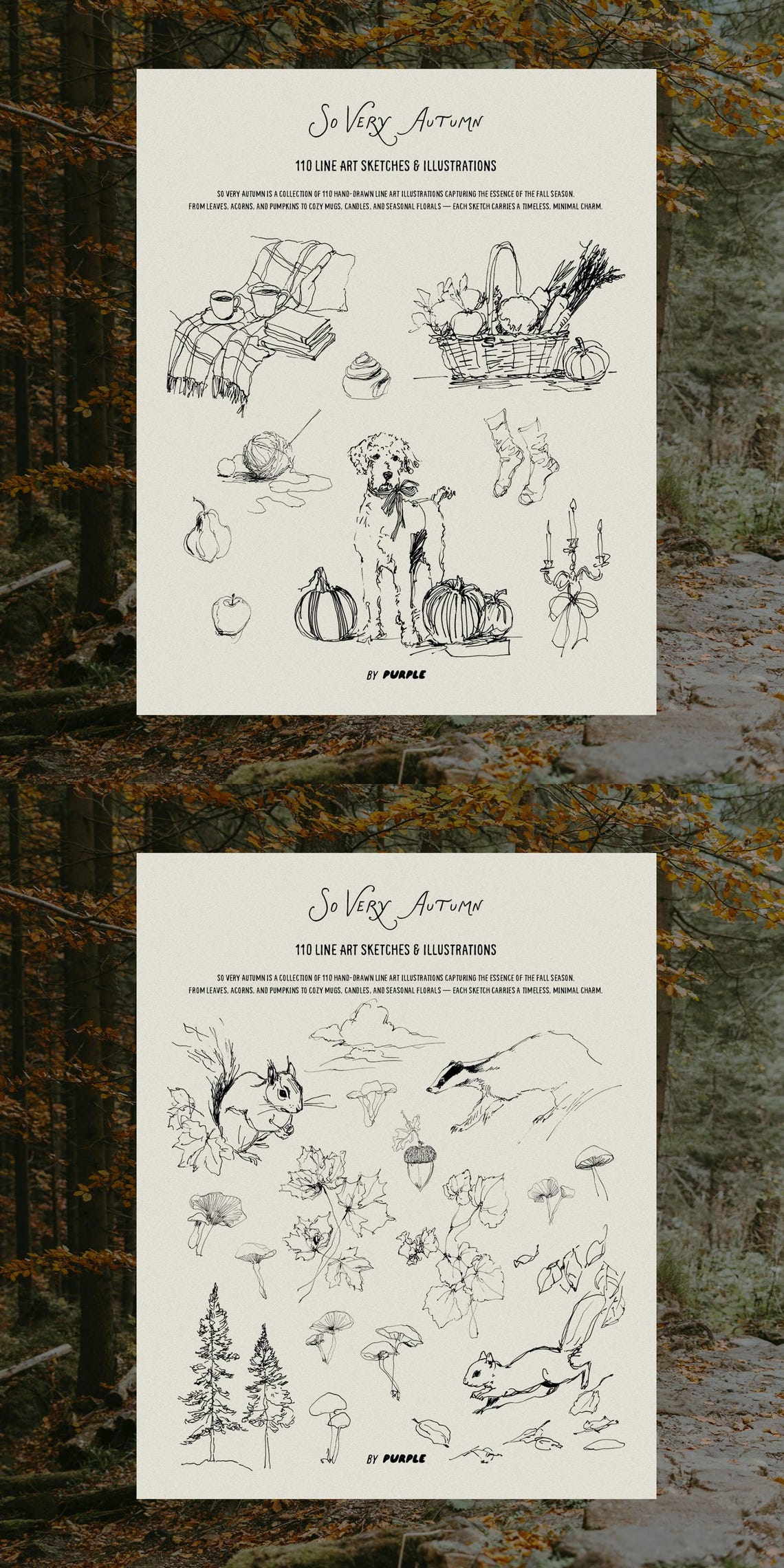 Fall Line Art Sketches: Pumpkin Harvest Clipart (digital Download) - Etsy