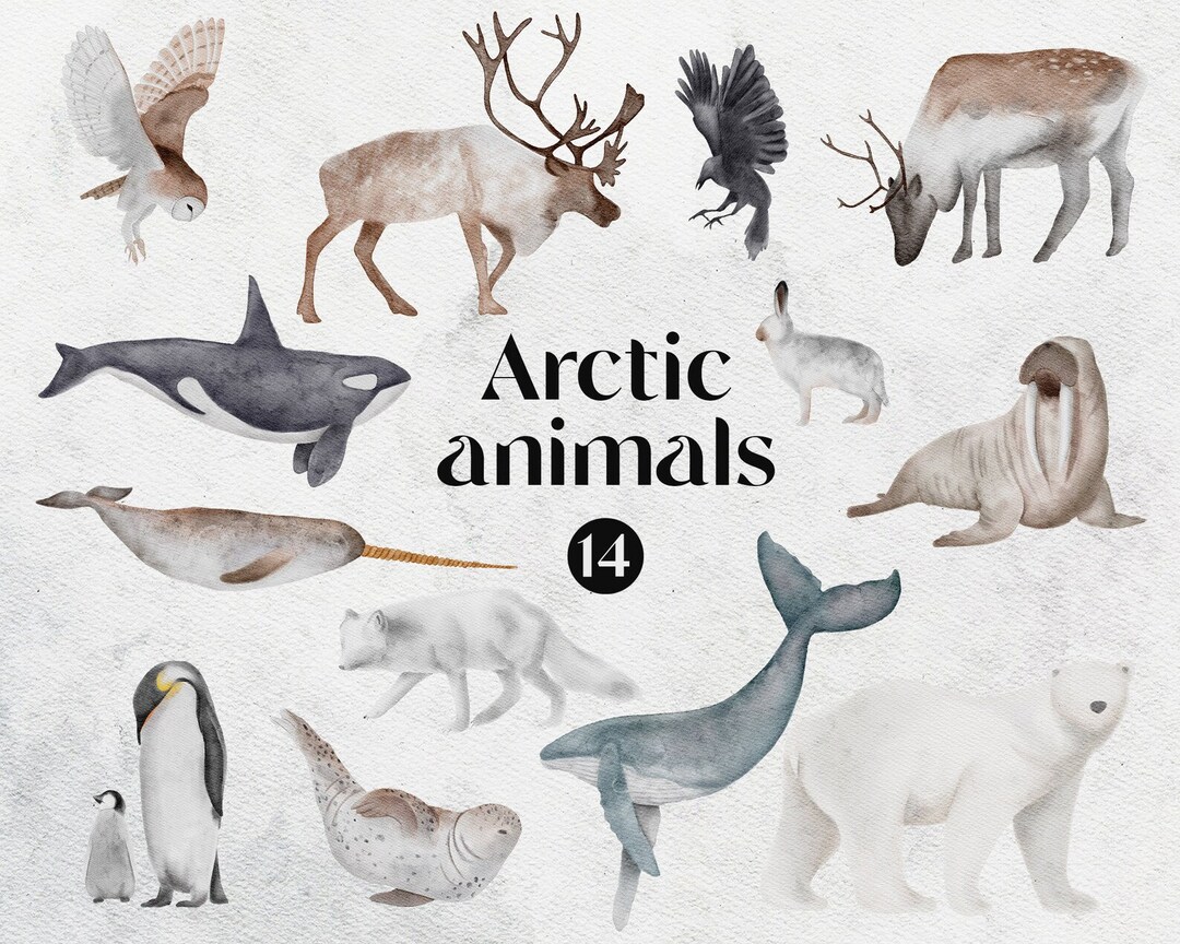 Watercolor Arctic Animals Clipart. Winter Animals Clipart. Christmas ...