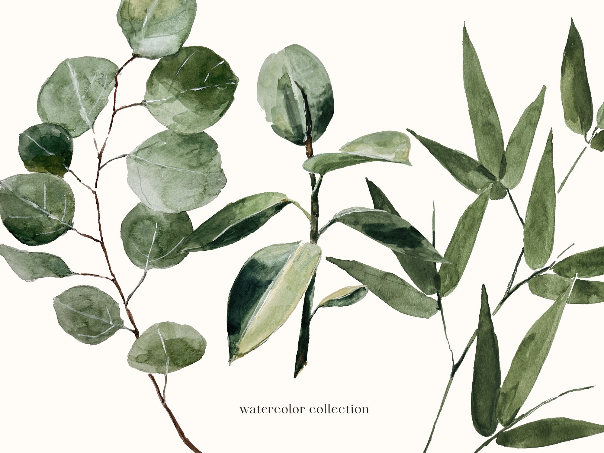 Greenery Watercolor Clipart Green Leaves Lemon Eucalyptus - Etsy