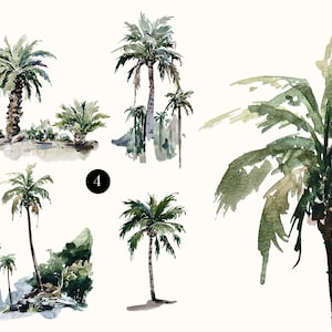 Watercolor Palm Trees Clipart: Tropical PNG (commercial Use) - Etsy